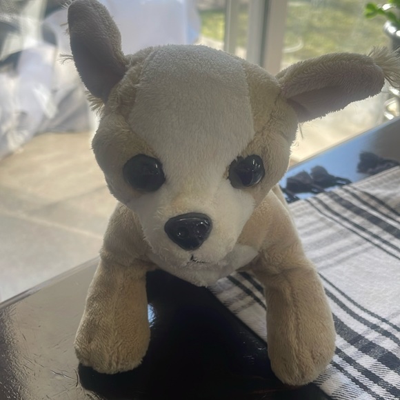 GANZ | Toys | Retired Chihuahua Webkinz | Poshmark